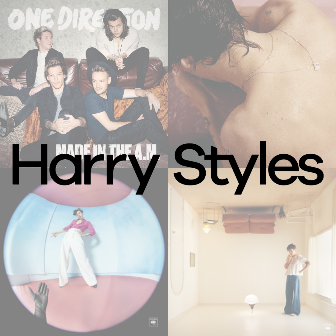 Harry Styles Vinyl Records — Dig In Records